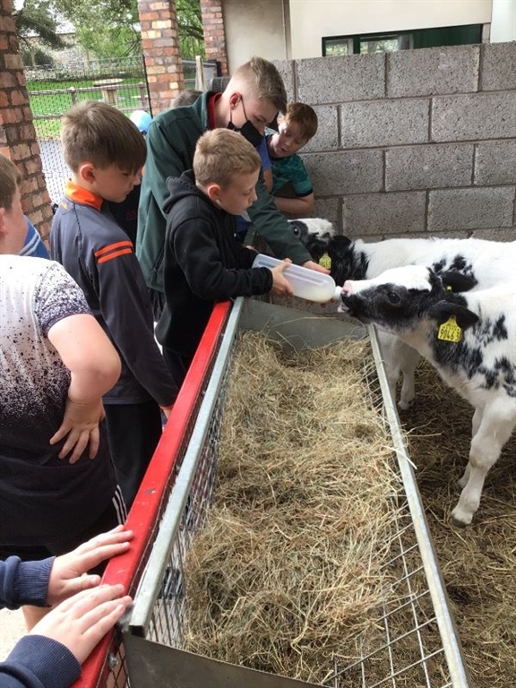 2 Years to 4 Years | ArKe Surestart | Armagh | Keady